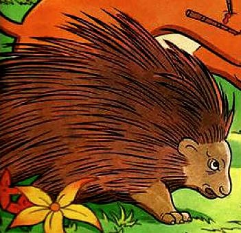 Spike (porcupine) | The Lion King Wiki | Fandom