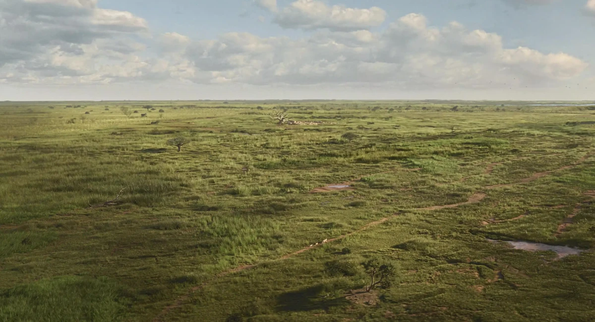 Dead Tree/Gallery | The Lion King Wiki | Fandom