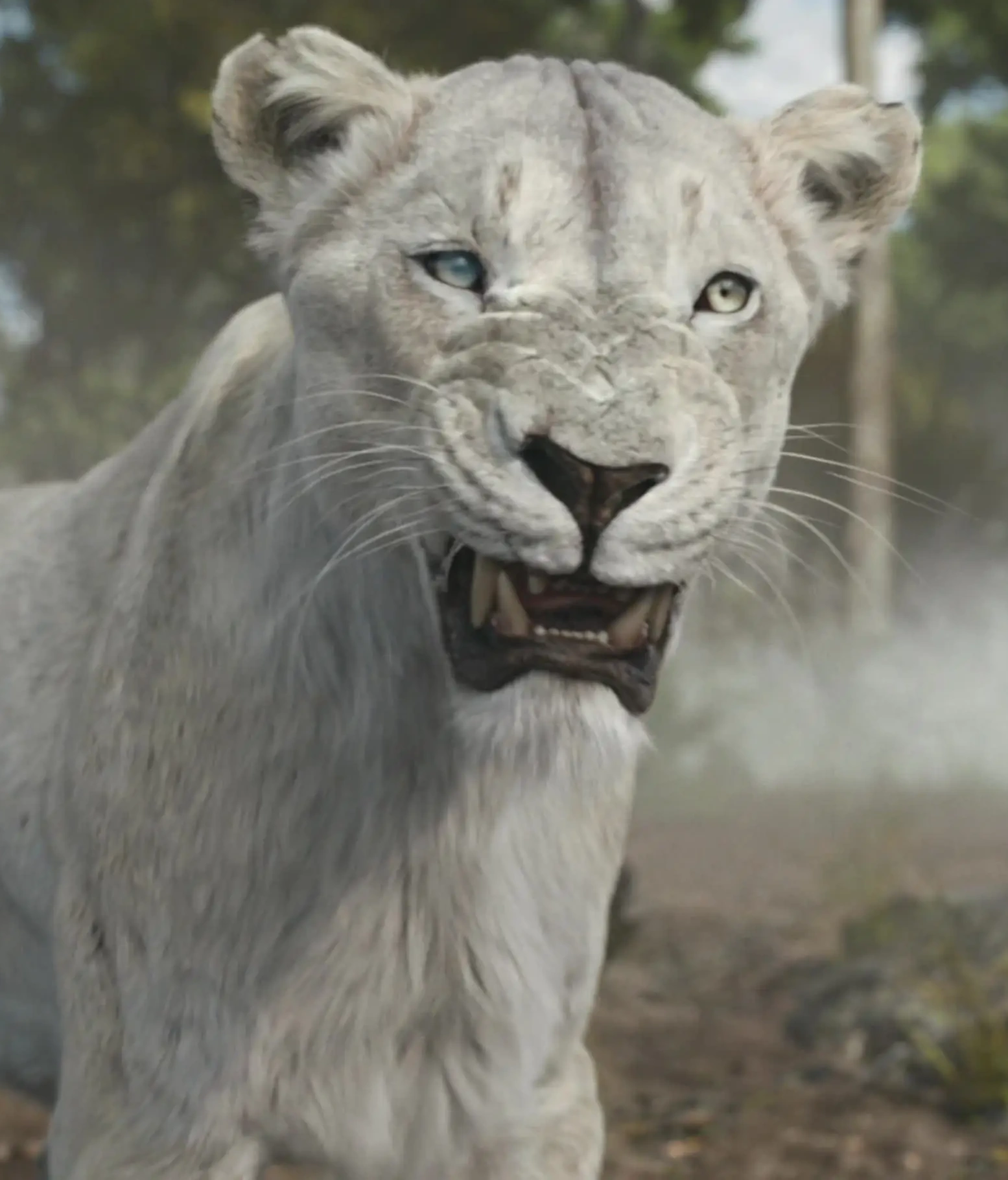 Amara | The Lion King Wiki | Fandom