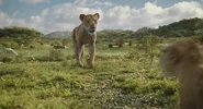 Simba and Nala's son/Gallery | The Lion King Wiki | Fandom