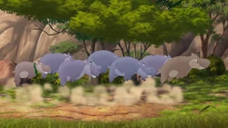 Basi | The Lion King Wiki | Fandom