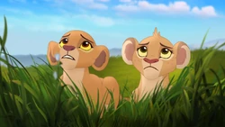 Tiifu | The Lion King Wiki | Fandom
