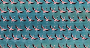 Flamingo Dance Party | The Lion King Wiki | Fandom