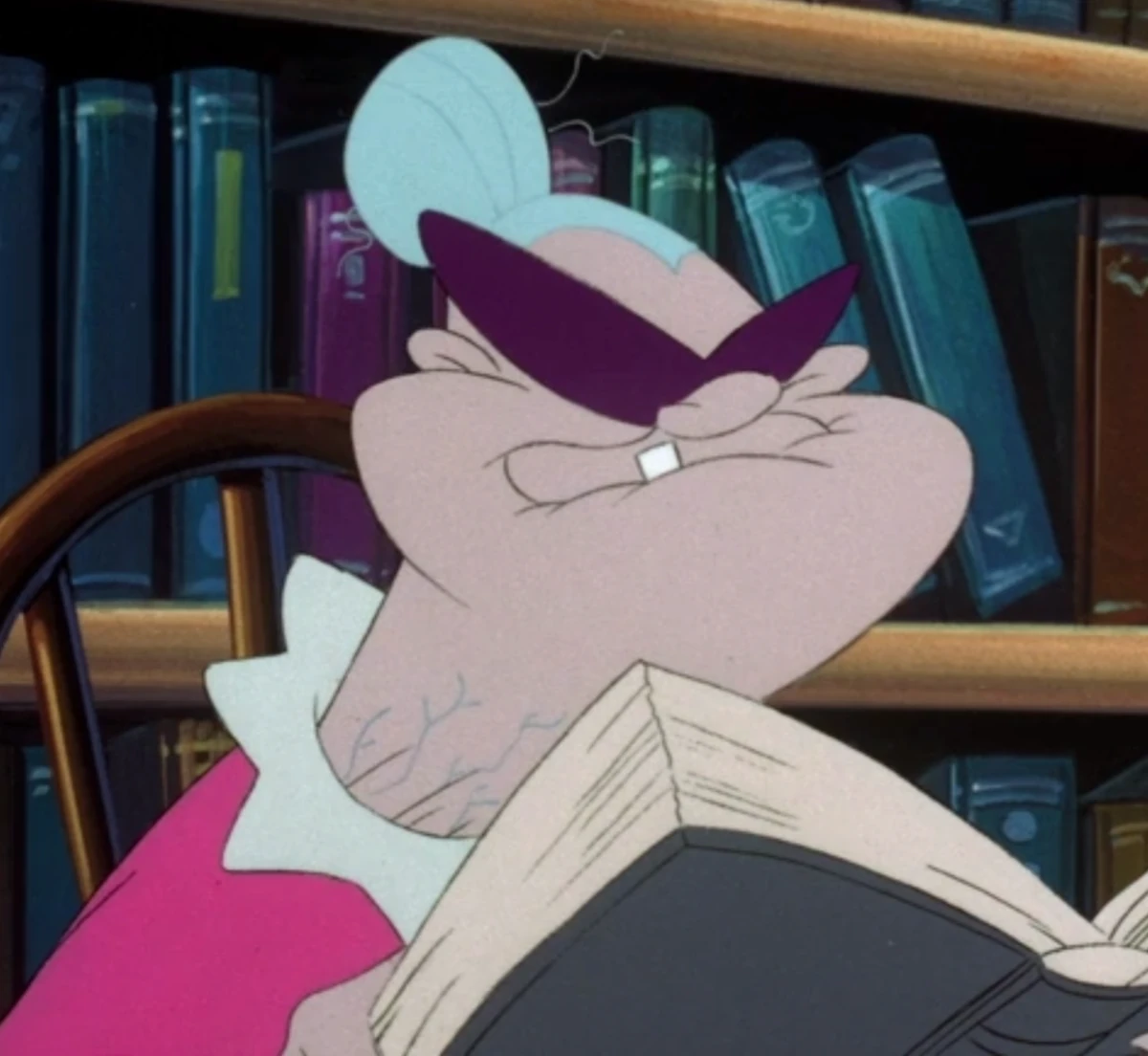 Rita Book | The Lion King Wiki | Fandom