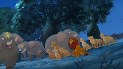 Sarafina | The Lion King Wiki | Fandom