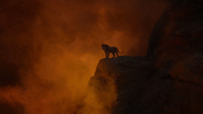 Pride Rock (reboot) | The Lion King Wiki | Fandom
