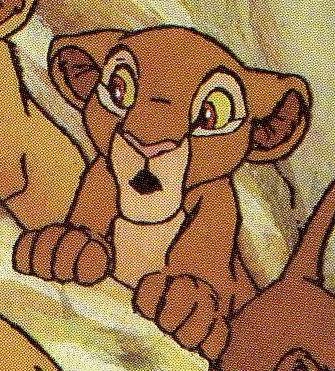 Kula (lion) | The Lion King Wiki | Fandom