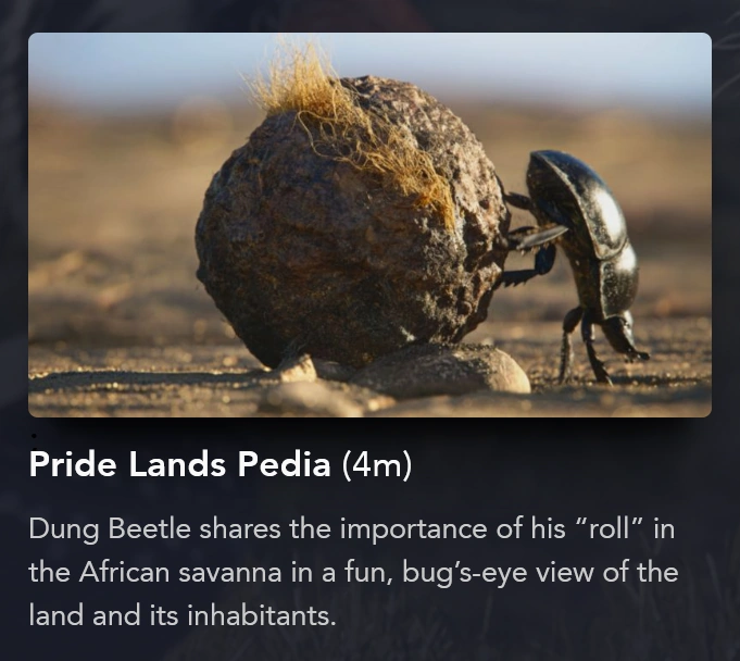 Pride Lands Pedia | The Lion King Wiki | Fandom