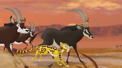 Bupu | The Lion King Wiki | Fandom