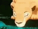 The Lion King (1994)/Gallery | Lion King Madness Wiki | Fandom