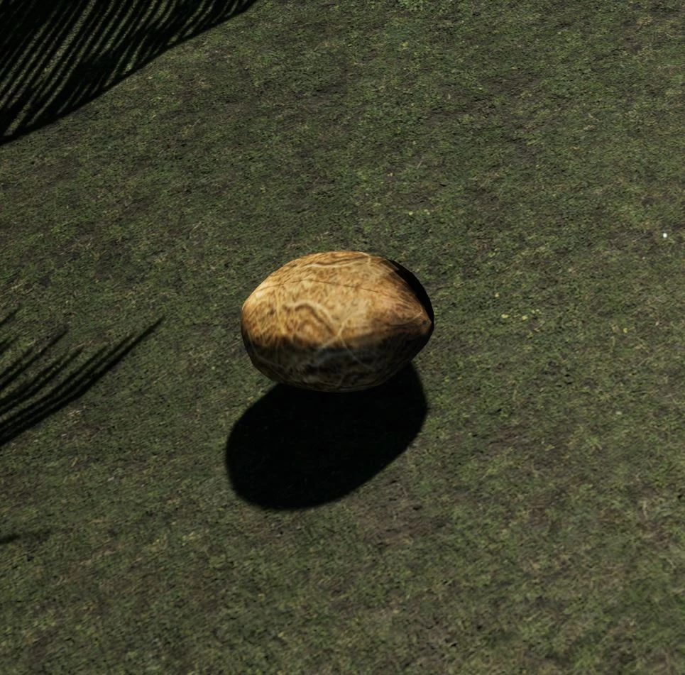 Coconut (Whole) | Lisland Wiki | Fandom