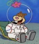 Sandy Cheeks | List of Characters Wiki | Fandom
