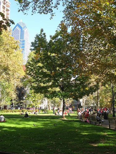 List of unofficial names for the trees in Philadelphia's Rittenhouse ...