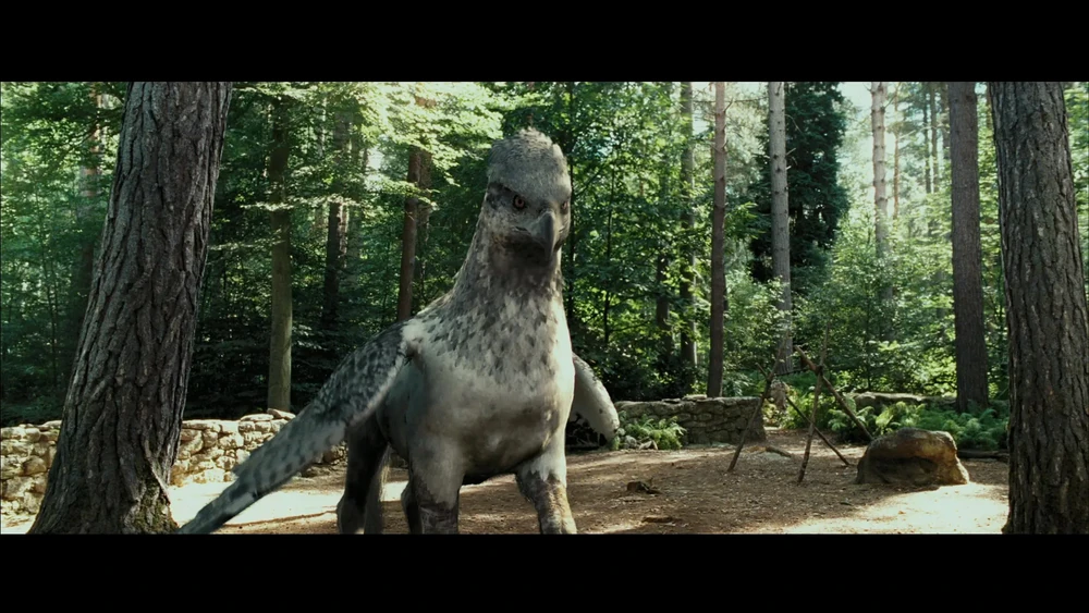 Buckbeak | List of Deaths Wiki | Fandom