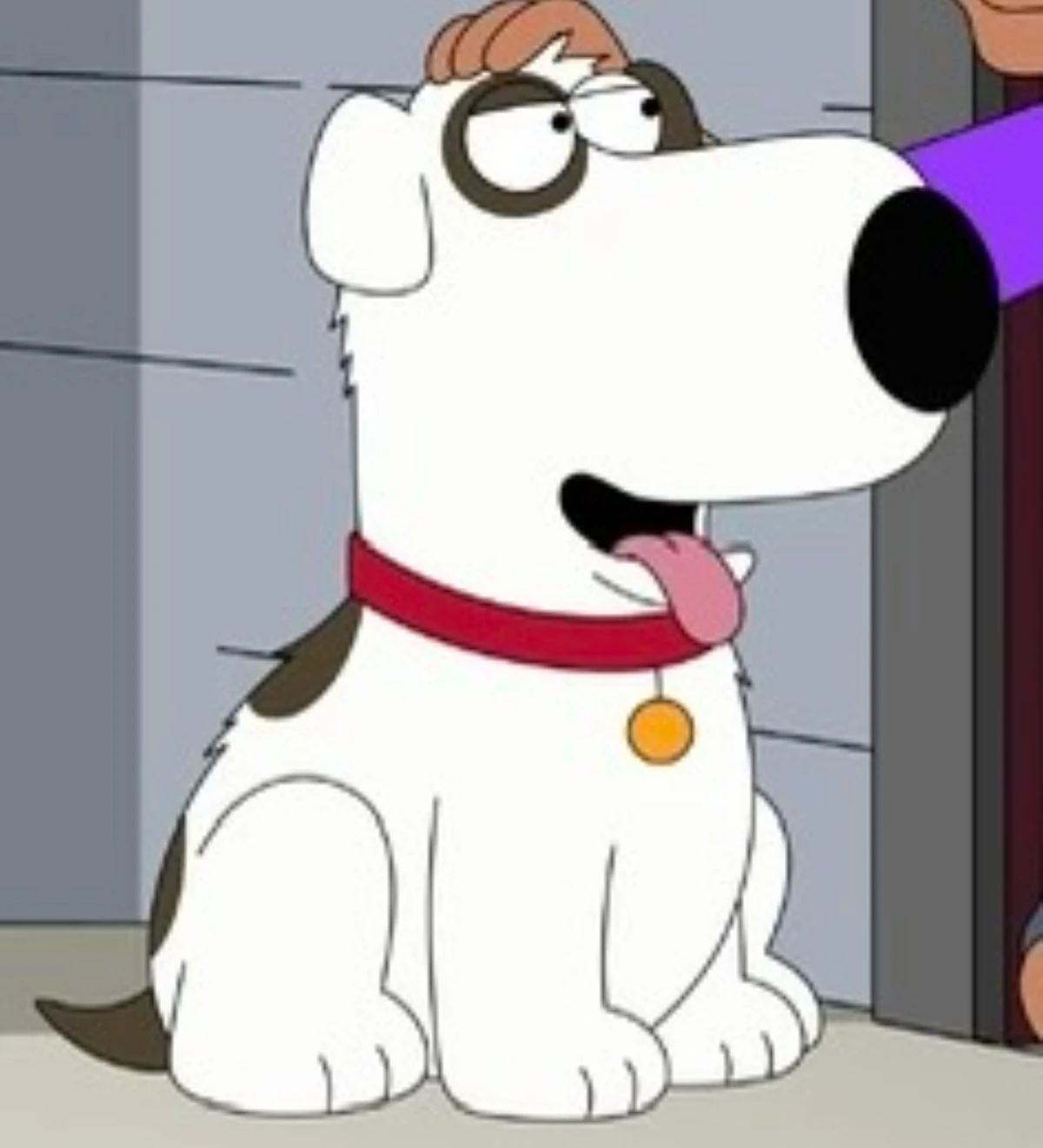 Rover IV | List of Deaths Wiki | Fandom