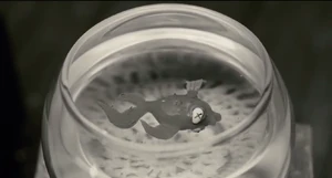 Mary and Max | List of Deaths Wiki | Fandom