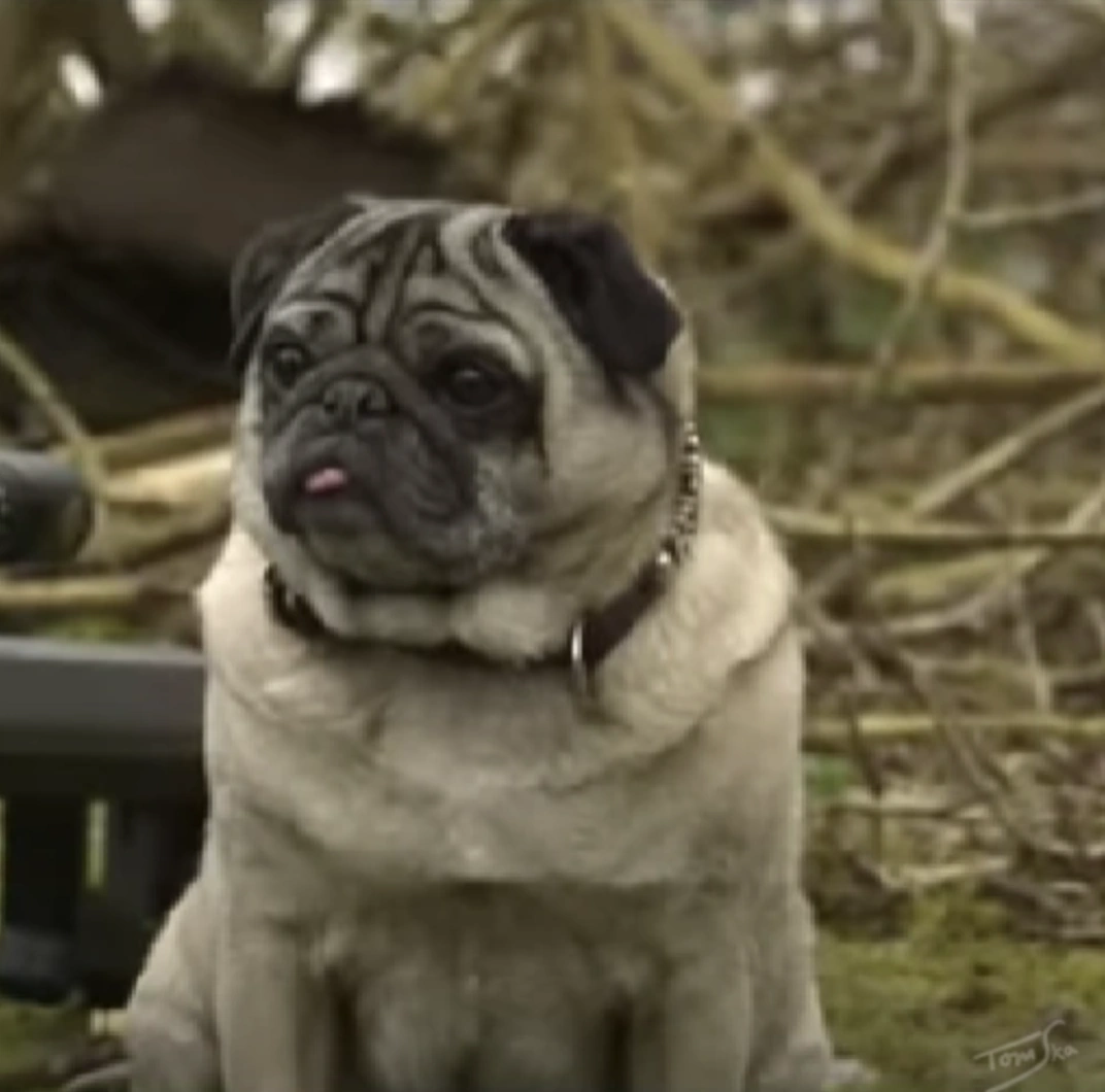 Sergeant Pugsley | List of Deaths Wiki | Fandom