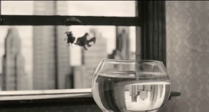 Mary and Max | List of Deaths Wiki | Fandom