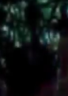 The Morley Man | List of Deaths Wiki | Fandom