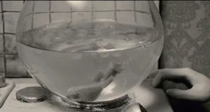 Mary and Max | List of Deaths Wiki | Fandom