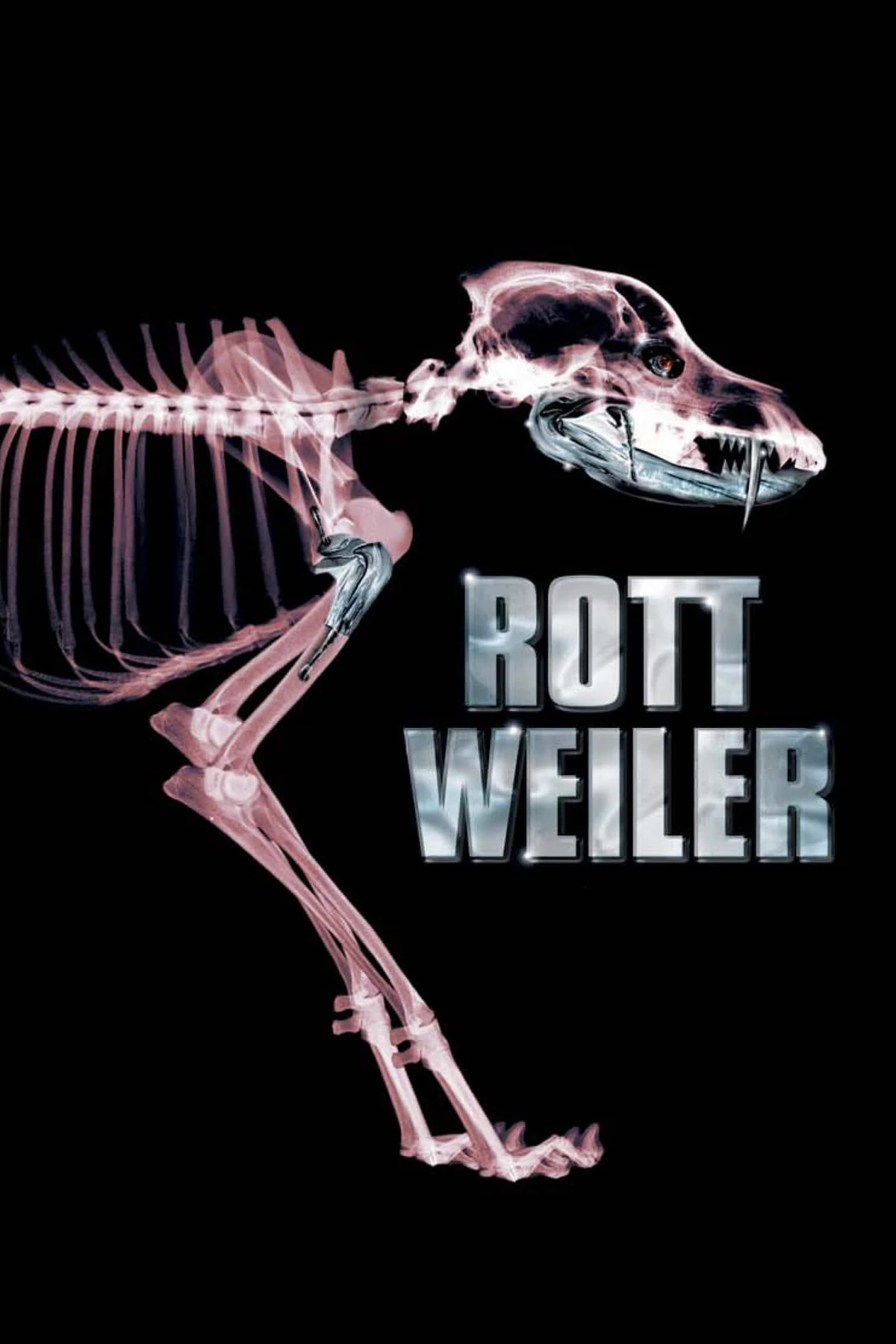 Rottweiler | List of Deaths Wiki | Fandom