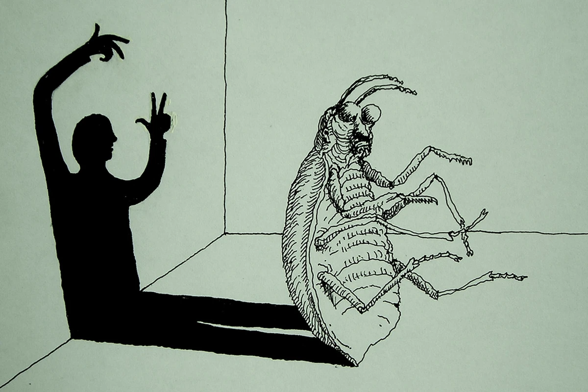 La Métamorphose | Wiki Littérature | Fandom