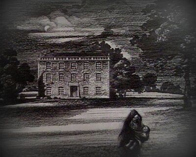 The Mezzotint | Literawiki | Fandom