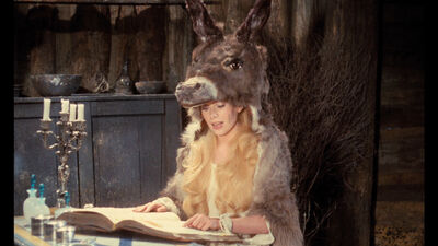 Donkeyskin | Literawiki | Fandom