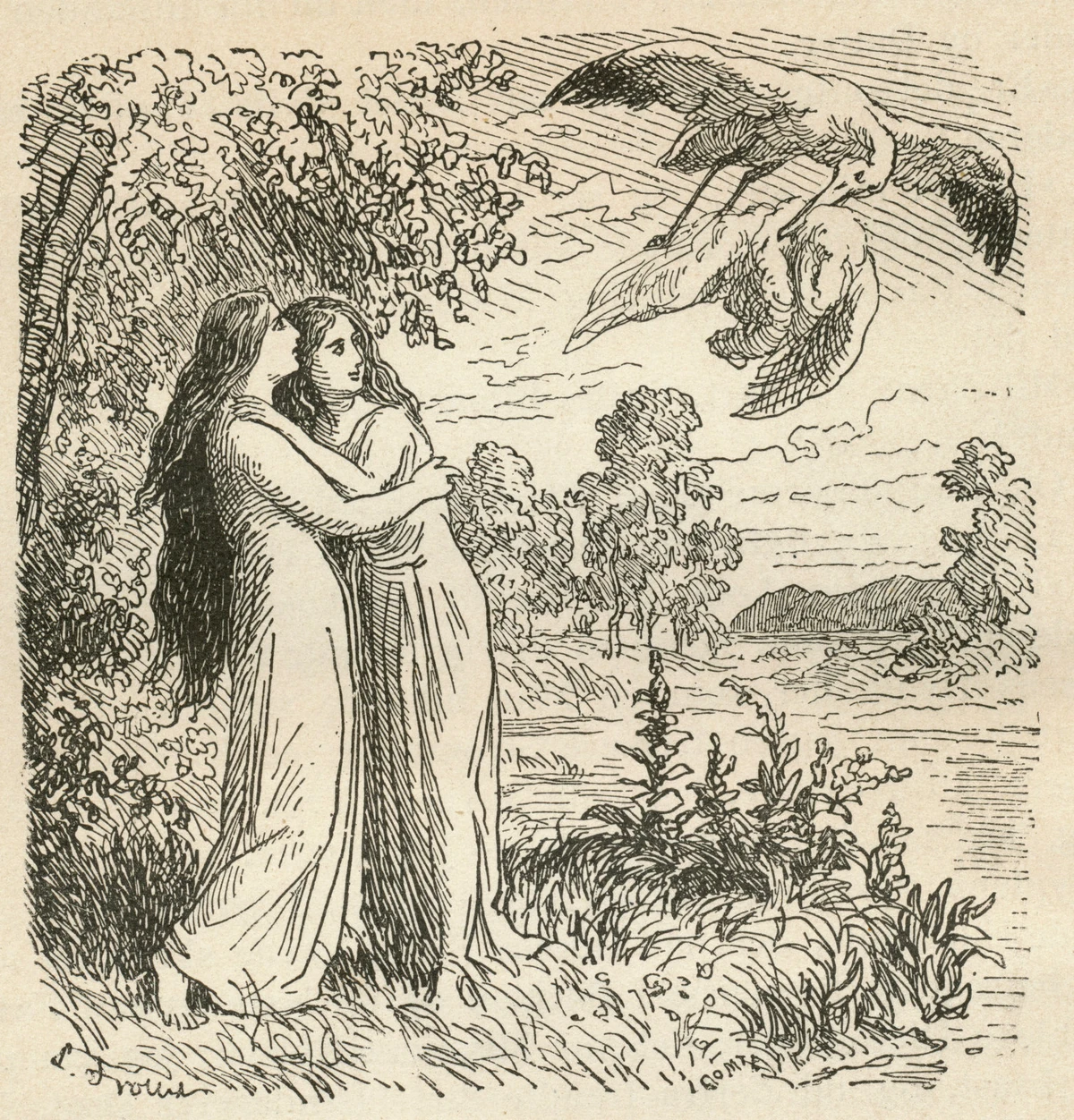 The Marsh King's Daughter (short story) | Literawiki | Fandom