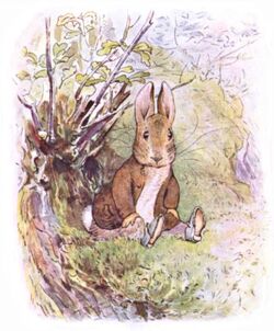 The Tale of Benjamin Bunny | Literawiki | Fandom