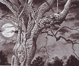 The Ash-tree | Literawiki | Fandom