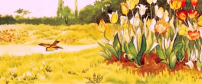 The Daisy | Literawiki | Fandom