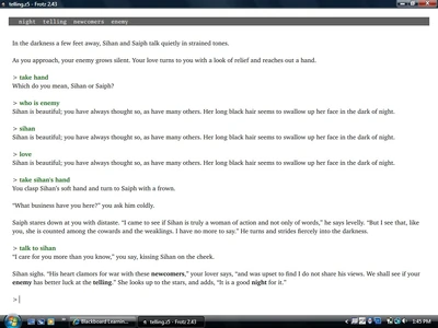 Interactive Fiction | Literature in a Wired World Wiki | Fandom