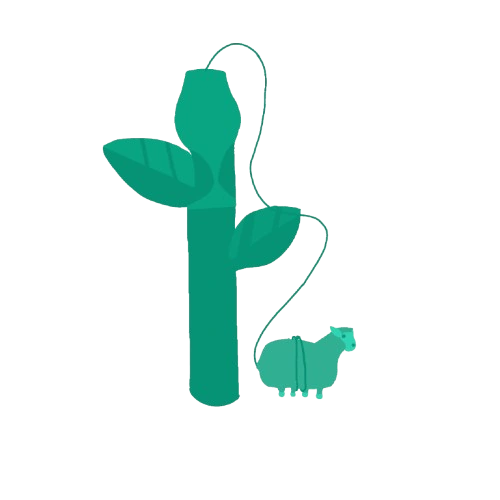 Fanon:Vegetable lamb | Little Alchemy Wiki | Fandom