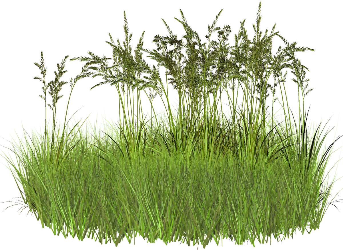 Fanon:Weed | Little Alchemy Wiki | Fandom