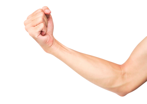 Fanon:Arm | Little Alchemy Wiki | Fandom