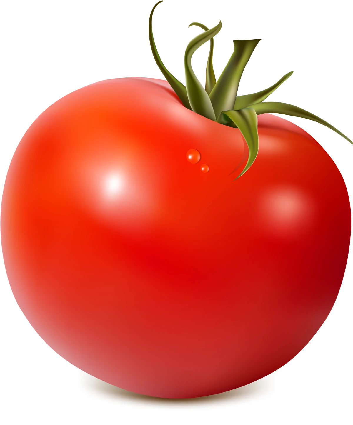Fanon:Tomato | Little Alchemy Wiki | Fandom