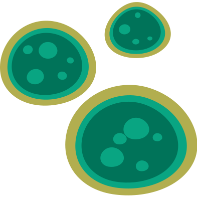 Algae | Little Alchemy Wiki | Fandom