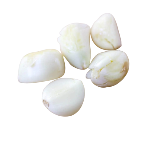 Fanon:Garlic | Little Alchemy Wiki | Fandom