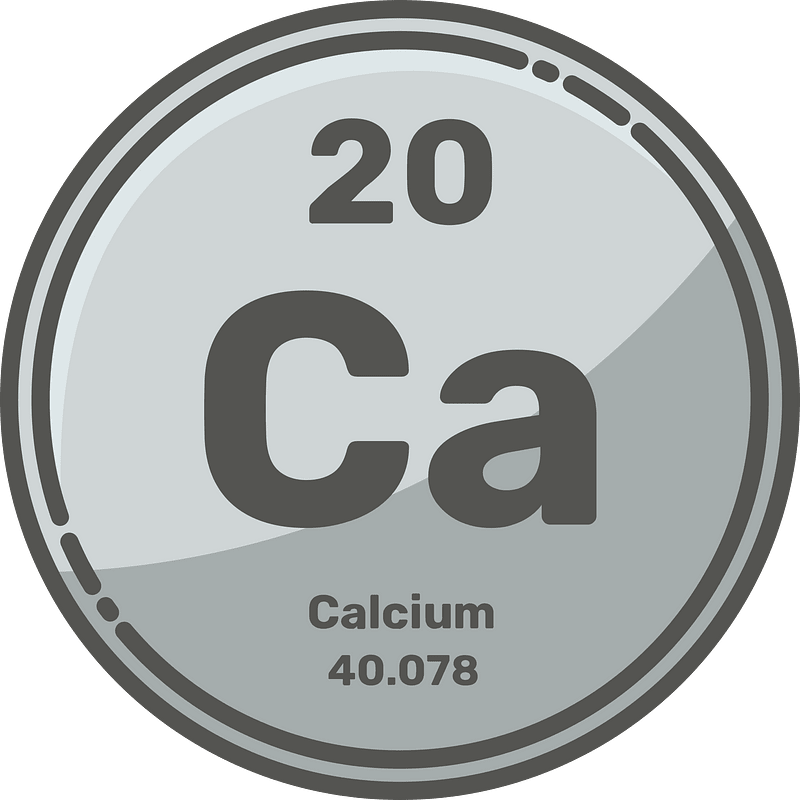 Fanon:Calcium | Little Alchemy Wiki | Fandom