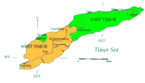 Fanon:Timor | Little Alchemy Wiki | Fandom