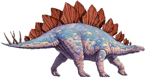 Where are my plates | Little angel Wiki | Fandom