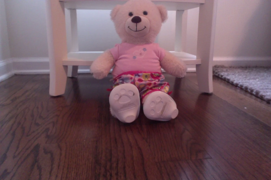 Pink Frog | Little Big Brother Wiki | Fandom