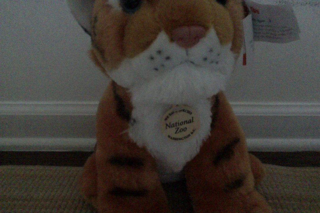 Lemeur | Little Big Brother Wiki | Fandom