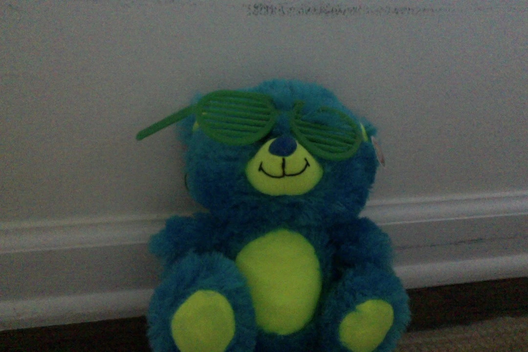 Blue Bear | Little Big Brother Wiki | Fandom