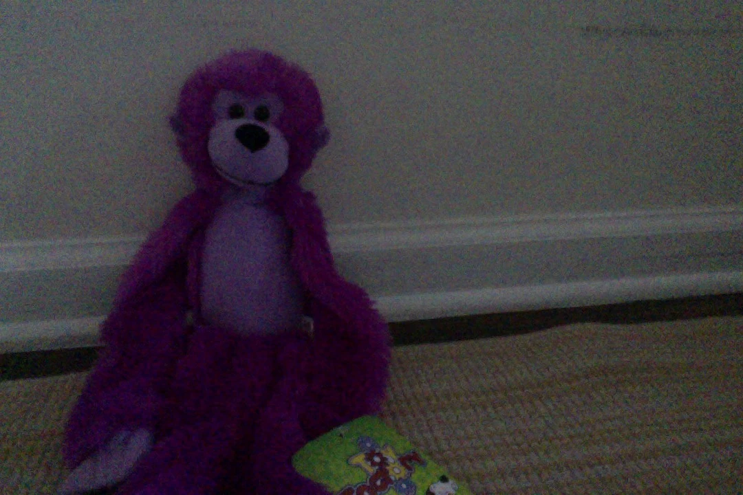 Purple Monkey | Little Big Brother Wiki | Fandom