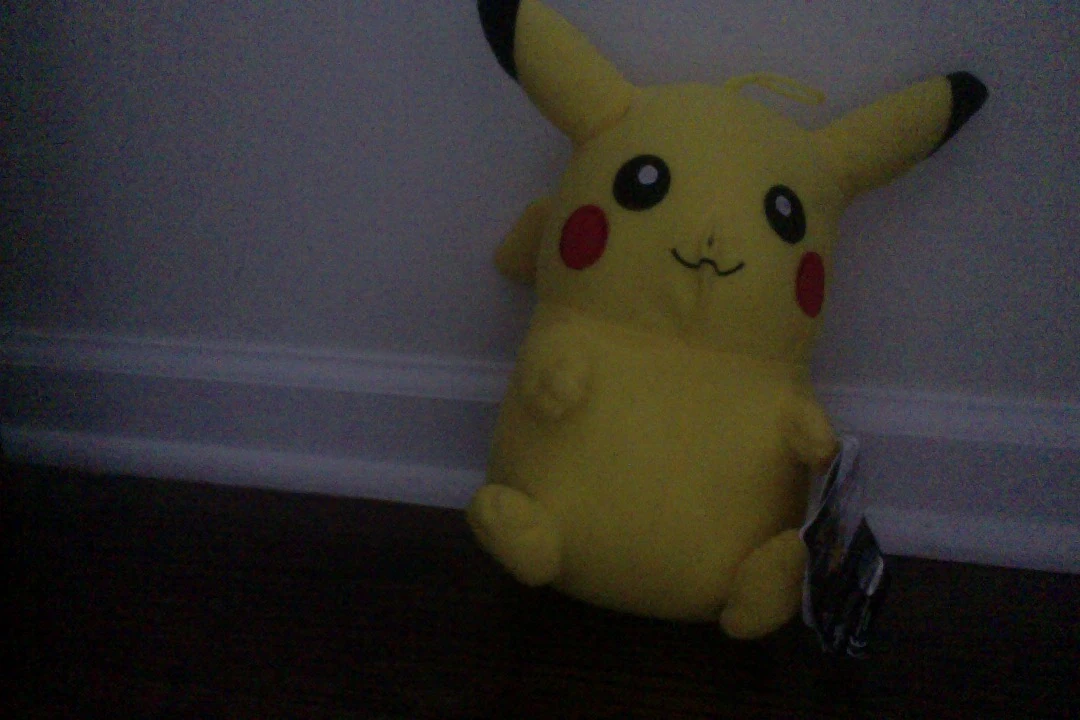 Pikachu | Little Big Brother Wiki | Fandom