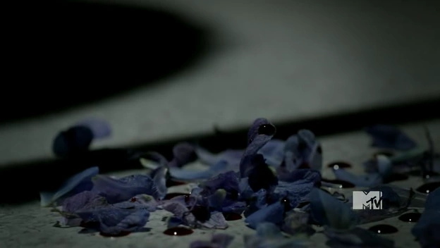 Wolfsbane | Little Wolf Wiki | Fandom