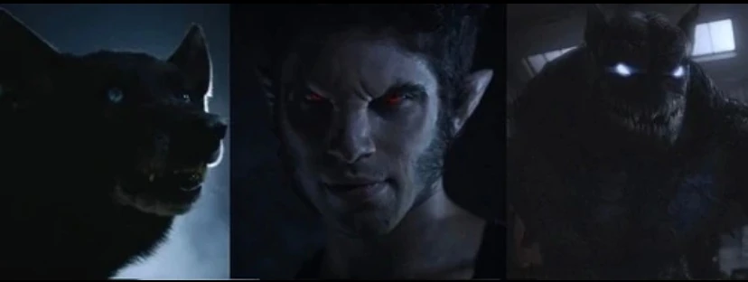 Werewolf | Little Wolf Wiki | Fandom