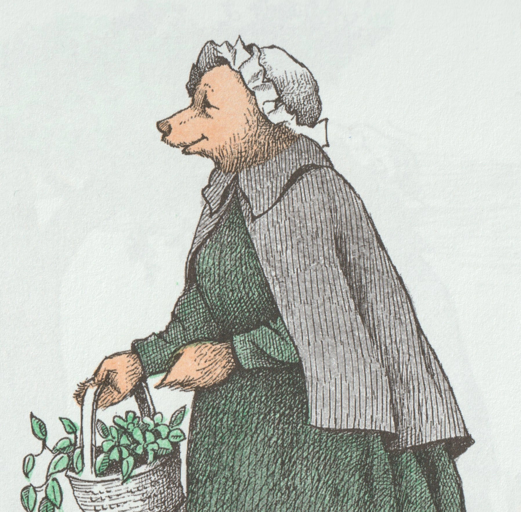 Grandmother Bear (literary) | Little Bear Wiki | Fandom